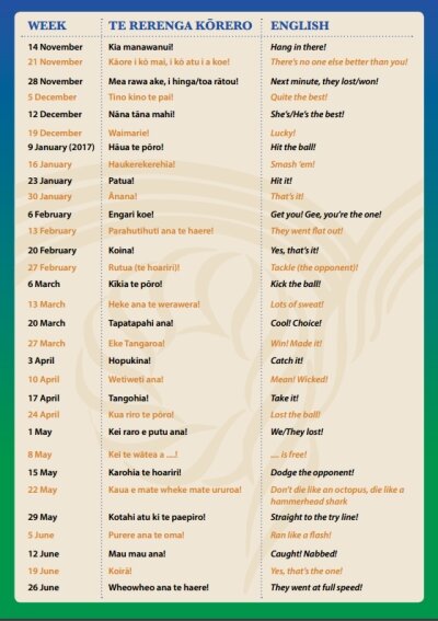 Check out these Maori phrases that you can use in everyday conversation ...